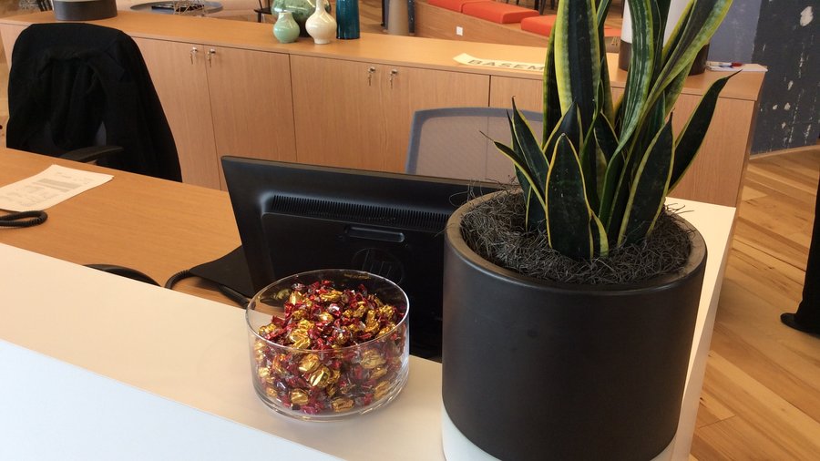 11 DBJ Offices -- Spaces