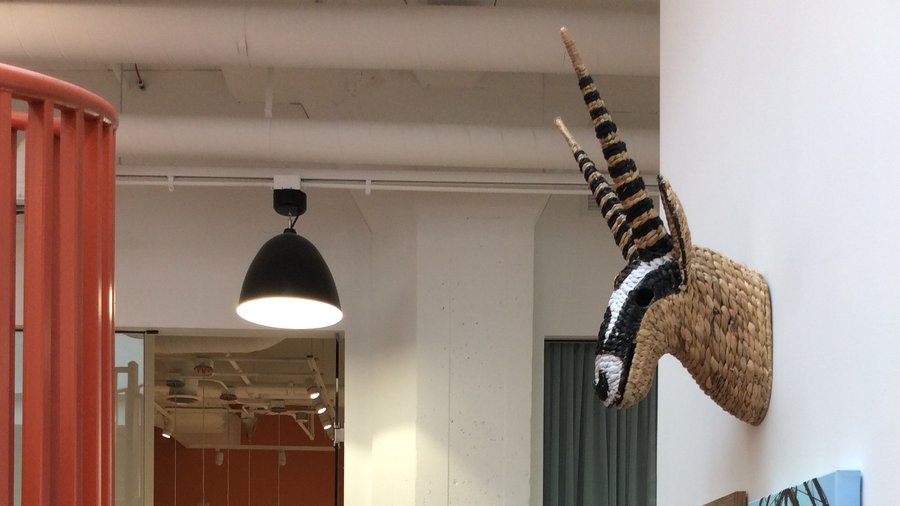 15 DBJ Offices -- Spaces