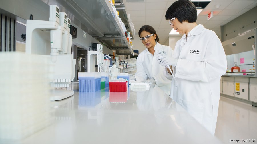 BASF signs deal DNA editing tool that could expedite innovation in RTP ...