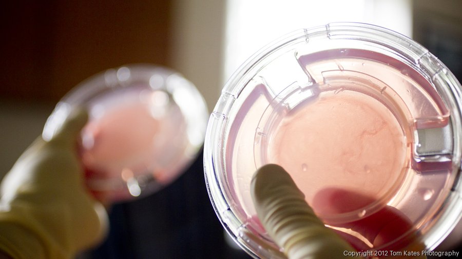 Birmingham's NuTech Medical acquired by Massachusetts company ...