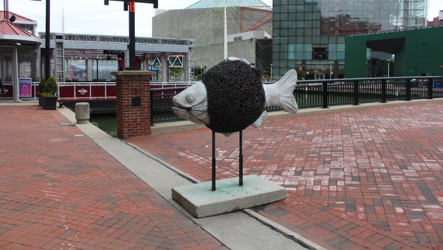 First fish, then crabs — now birds: Pugh looks to revive Baltimore ...