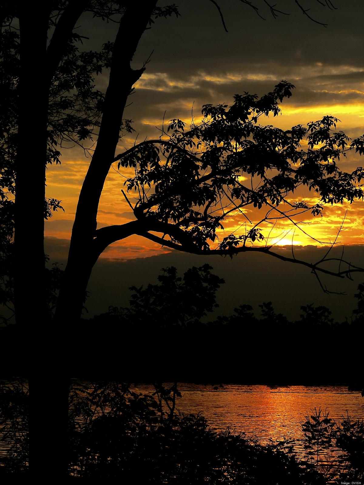 Save the wee turtles: National parks suffer from shutdown - Orlando ...