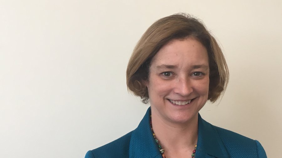 Albany College of Pharmacy and Health Sciences hires Colleen McLaughlin ...