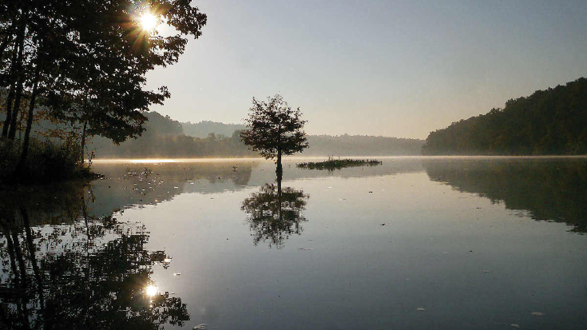 These are North Carolina's most-visited state parks - Triad Business ...