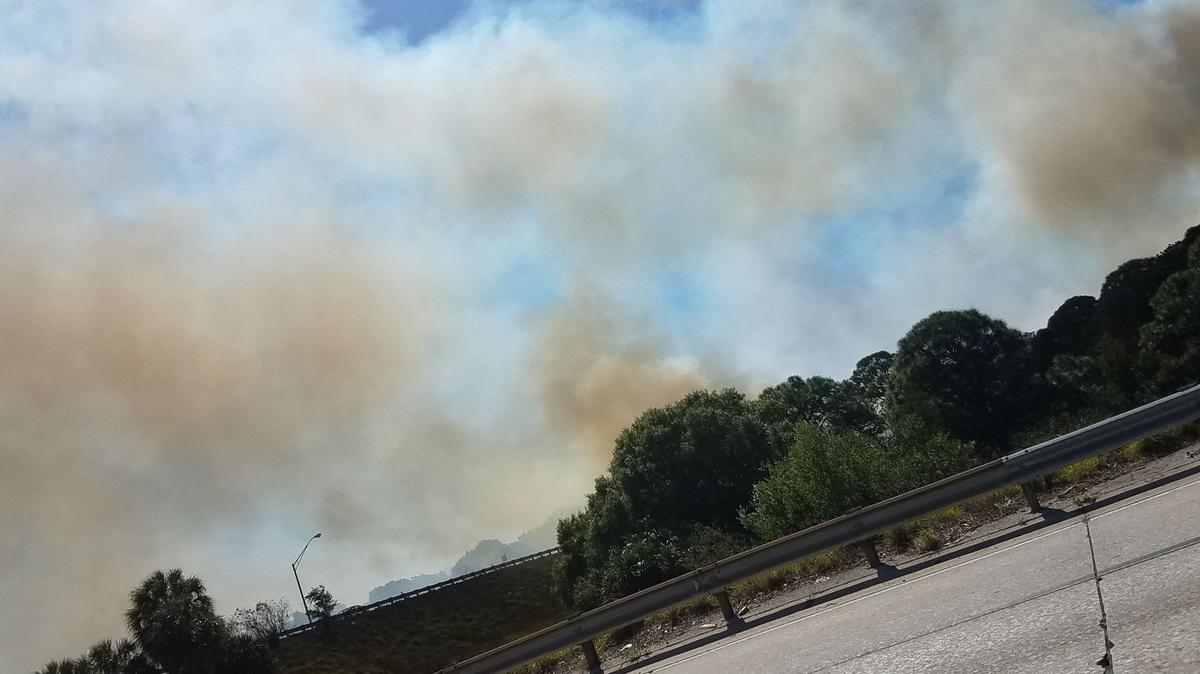 Brush fire shuts down portions of I-275 at rush hour - Tampa Bay ...