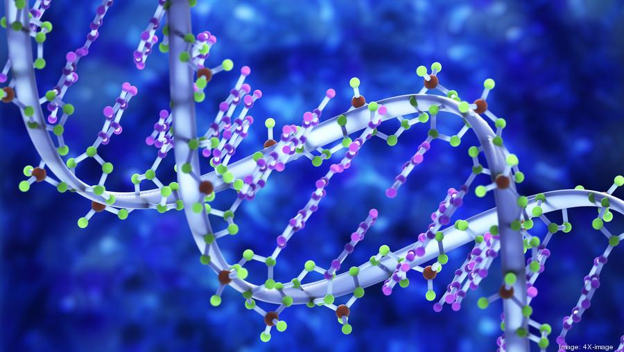 HealthPartners to launch DNA testing program to help detect inherited ...