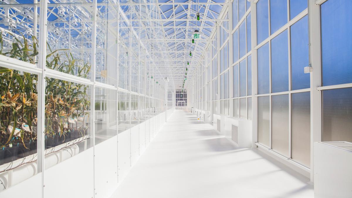 Syngenta expands Research Triangle campus with new research facility ...