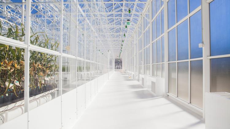 Syngenta expands Research Triangle campus with new research facility ...