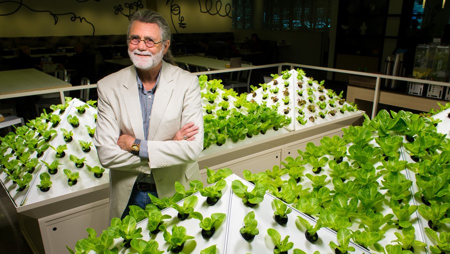 Microsoft cloud 'hack' grows 15,000 pounds of lettuce a year at Redmond ...