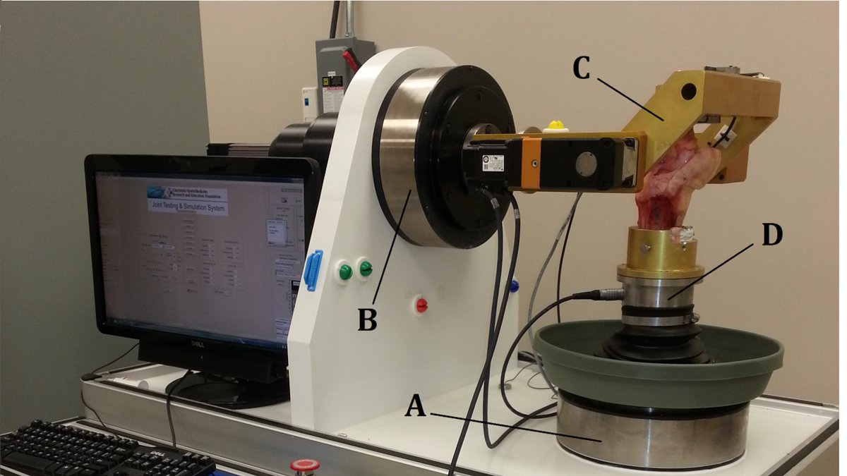 Need for ACL surgery for athletes called into question by Dr. Frank ...