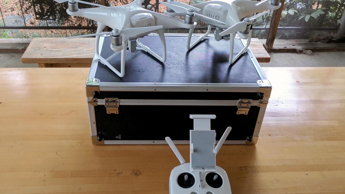 The Drone Show is seeing growing demand from Triad clients - Triad ...