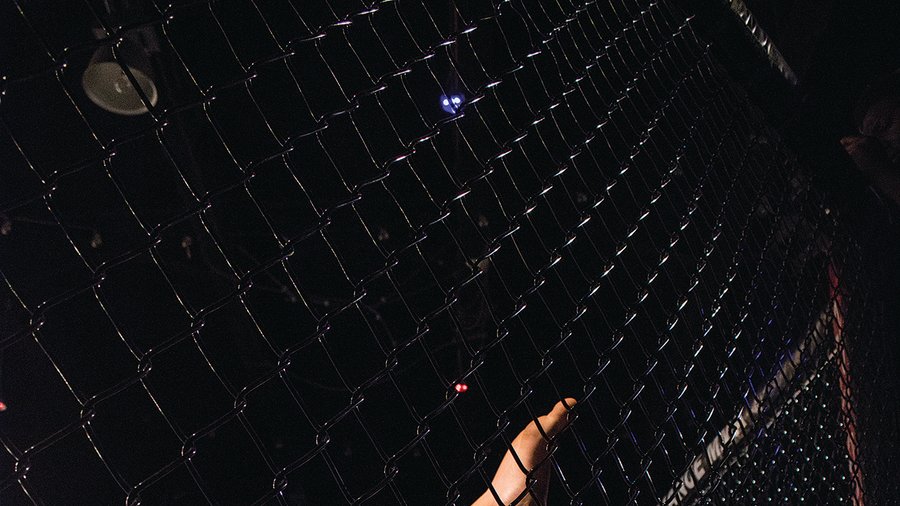 The road to MMA legalization in Tennessee with the help of the Memphis ...