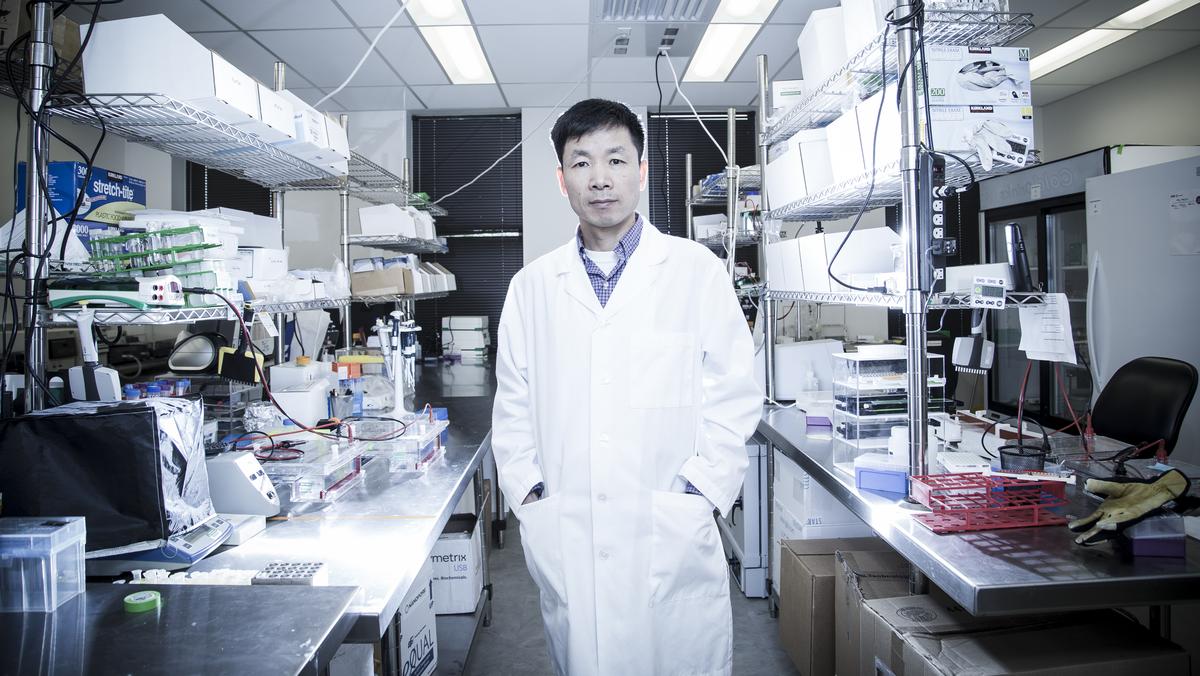 'Mold'-ing technology: Biotech firm to study fungi's impact on cancer ...