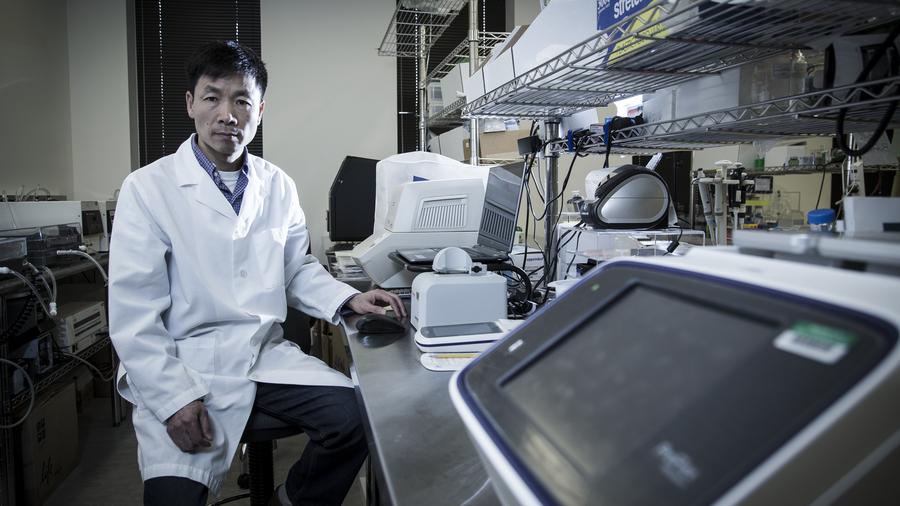 St. Louis biotech startup Intact Genomics relocates HQ, eyes $20M in ...