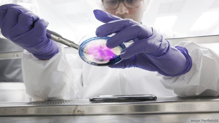 Revvity discloses second biomanufacturing site closure in Massachusetts ...