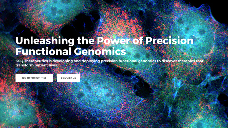 Stealthy cancer biotech KSQ, backed by Flagship, Polaris, takes space ...