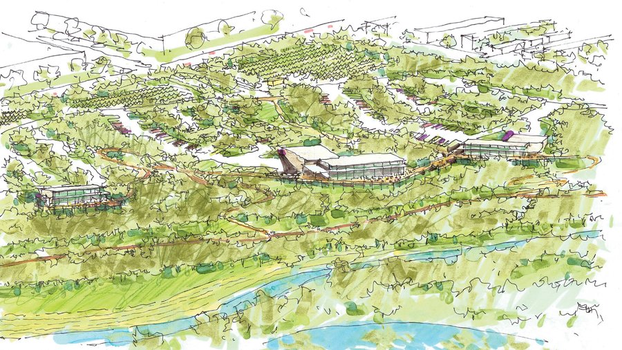 Why Salt Lick is cooking up a restaurant in Grapevine - Dallas Business ...