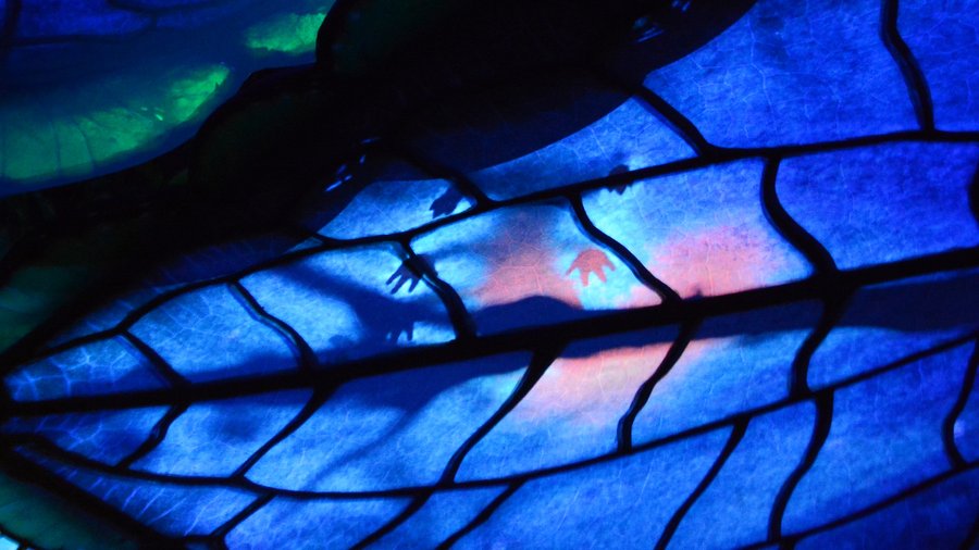 An alien world comes to life in Disney's Pandora: The World of Avatar ...
