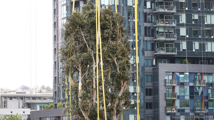 Amazon CEO Jeff Bezos opens iconic Spheres building with help from ...