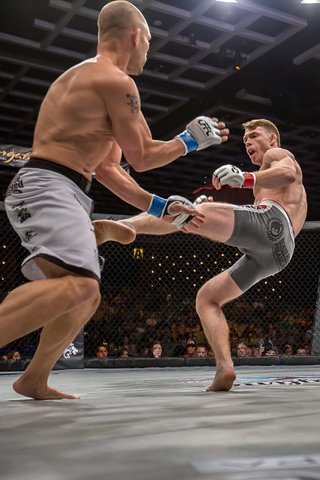 Alliance MMA acquires Roy Englebrecht Promotions - New York Business ...