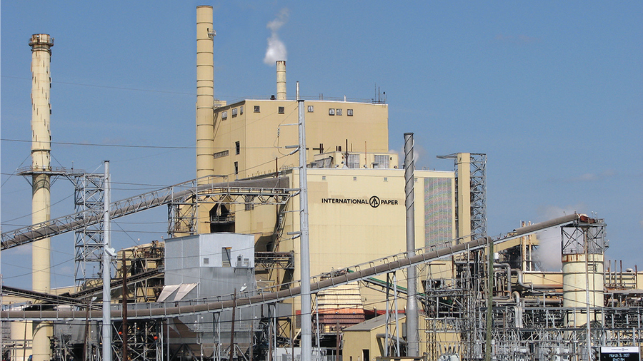 Global Cellulose Fibers International Paper Co