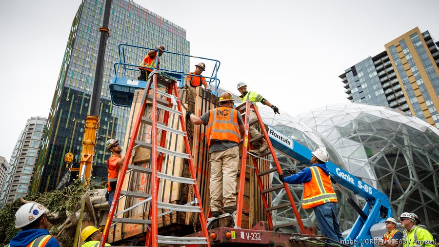 Hello, Rubi: Amazon drops big tree into its Seattle Spheres forest ...