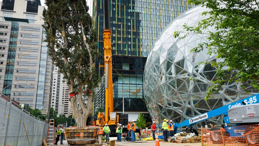 Rubi Amazon Spheres B