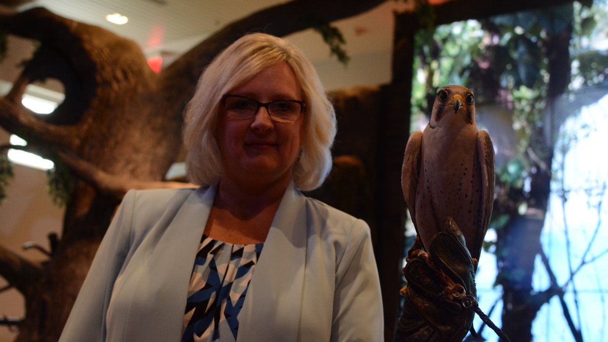 Pittsburgh National Aviary soars to success under Tracy - Pittsburgh ...