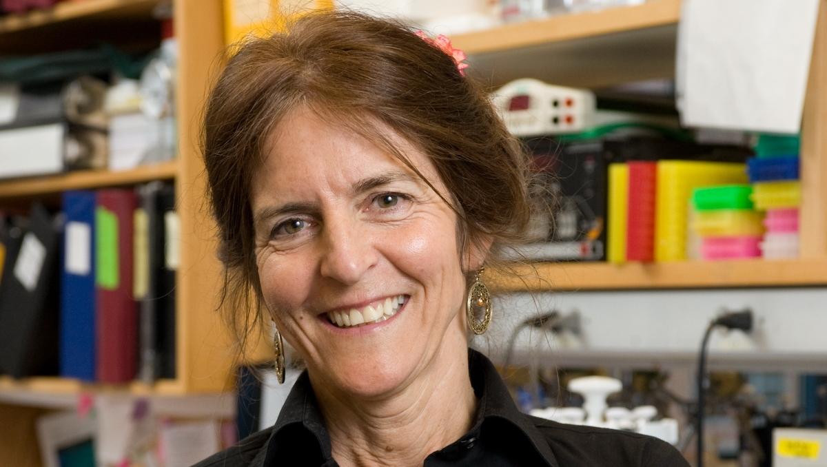 Philadelphia gene therapy startup Limelight Bio raises $75M ...