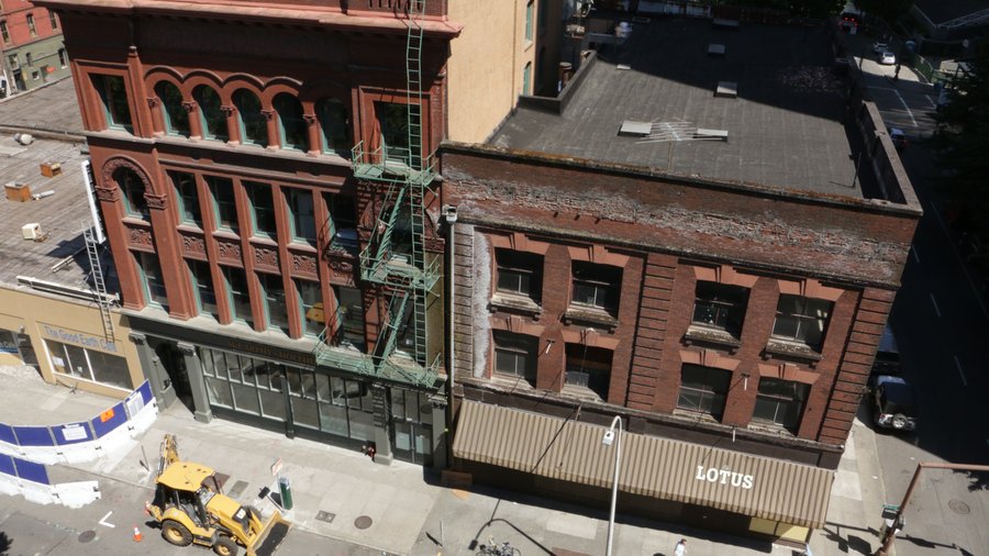 Lotus The Good Earth