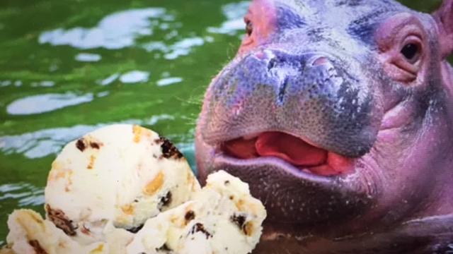 Graeter's releases Fiona-inspired ice cream for limited time ...