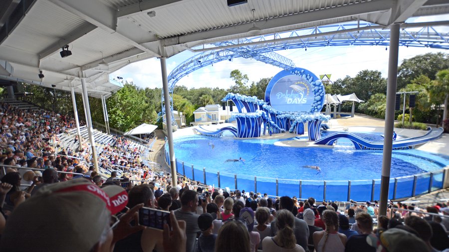 SeaWorld Dolphin Days 3