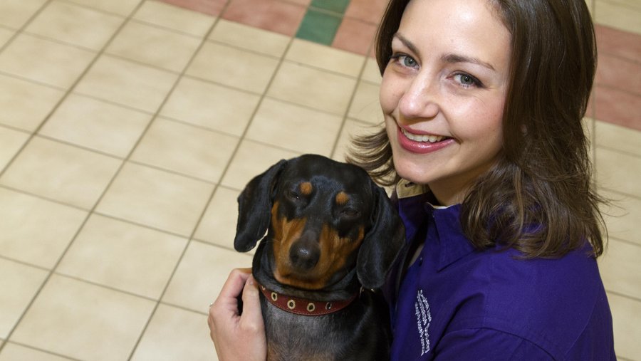 Capital Area Humane Society's GG's Dog Shelter would ease crowded ...