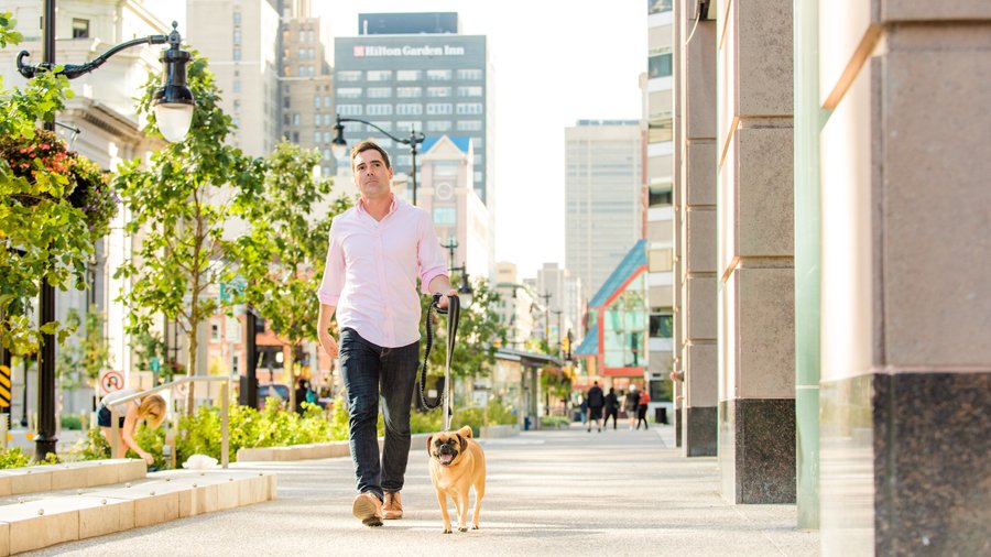 Pet platform: Buffalo-based Peeva ready to launch high-tech enterprise ...