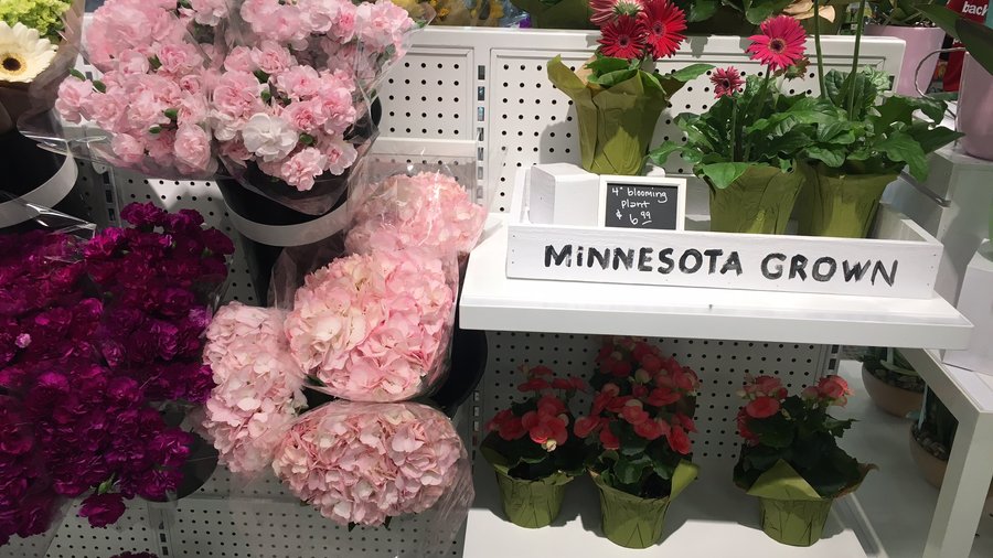 Target Vermont store opening, putting the retailer in all 50 states ...