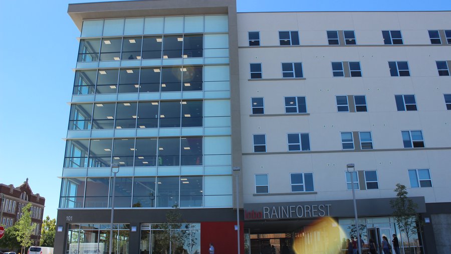 Innovate ABQ's Rainforest Building opens to public - Albuquerque ...