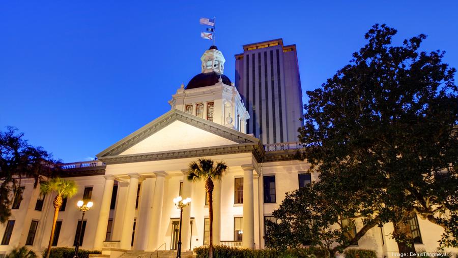 Zingale approved to head Florida's department of revenue - Tampa Bay ...