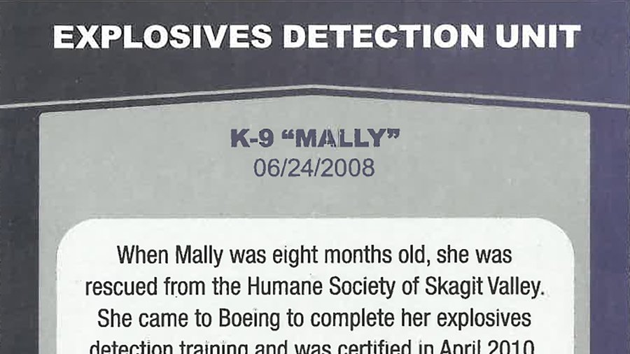 Boeing's K-9 explosives detection unit