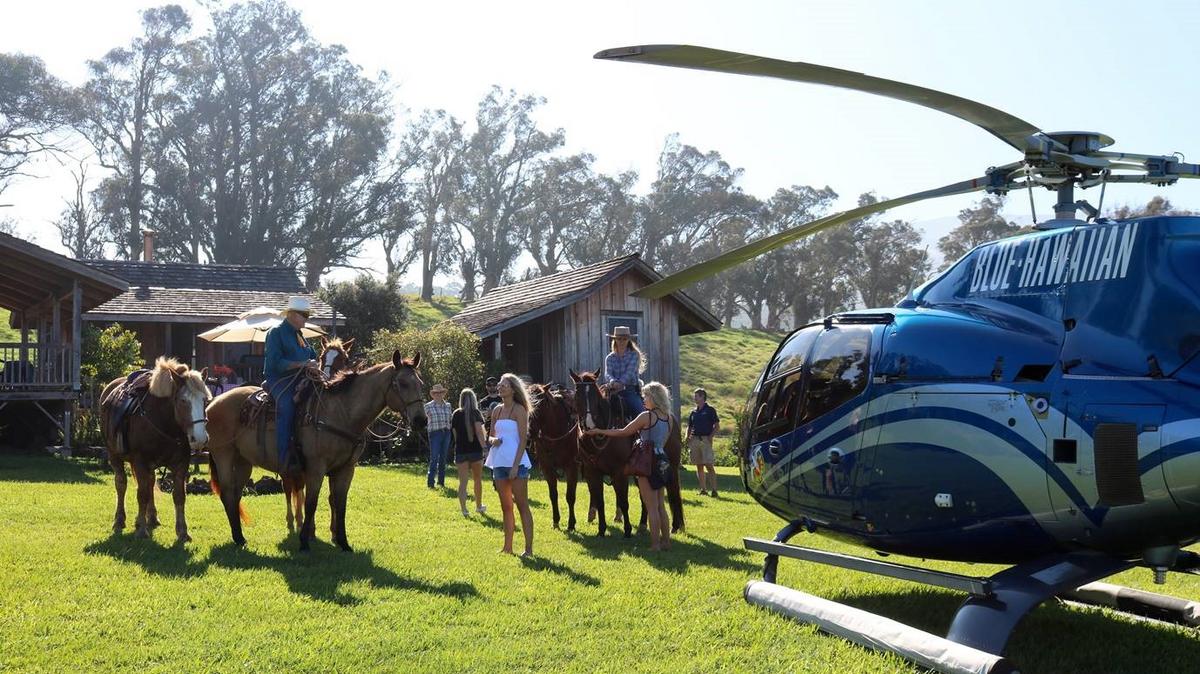 Blue Hawaiian Helicopters partners with Baldwin ranch in combined tour ...