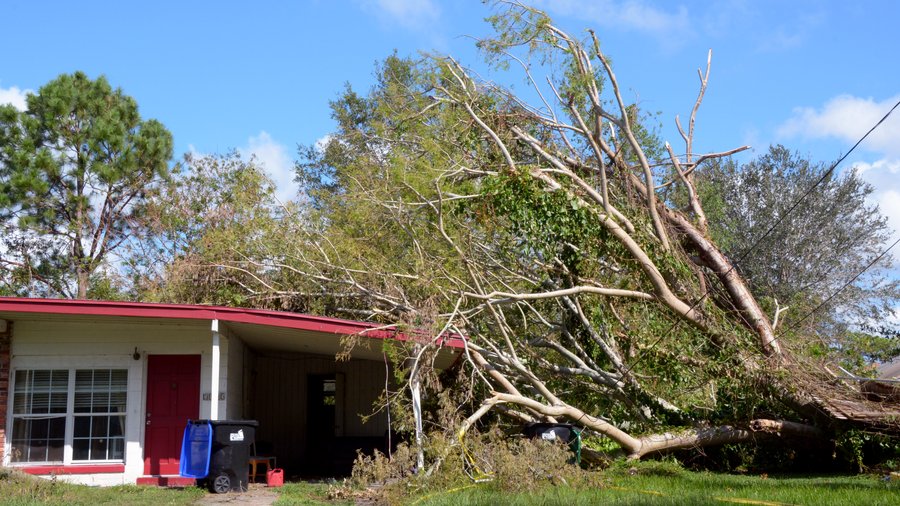 Hank Fishkind on Central Florida's post-Hurricane Irma economic ...
