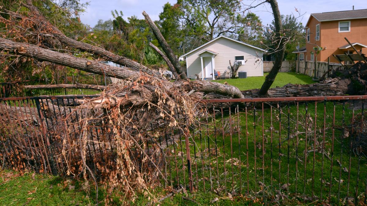 Hank Fishkind on Central Florida's post-Hurricane Irma economic ...