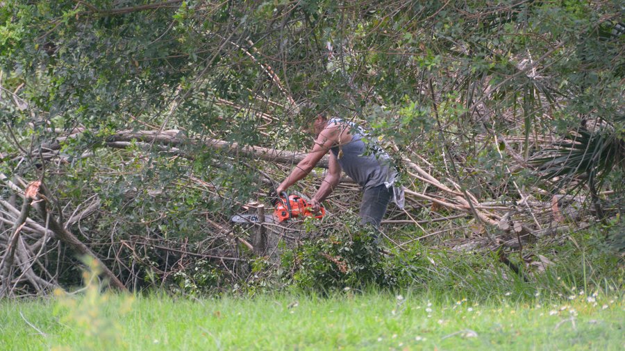 Hank Fishkind on Central Florida's post-Hurricane Irma economic ...