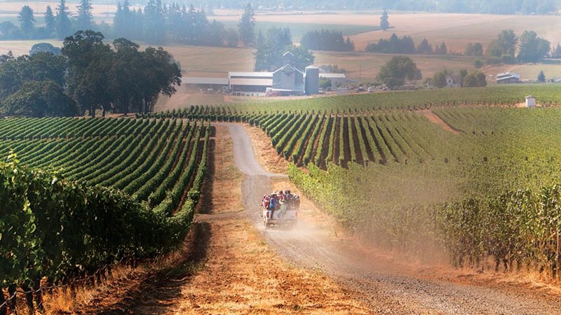 Exclusive: Oregon vineyards labor to keep workers in the field ...