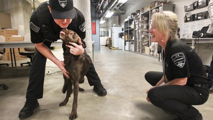 Boeing's K-9 explosives detection unit