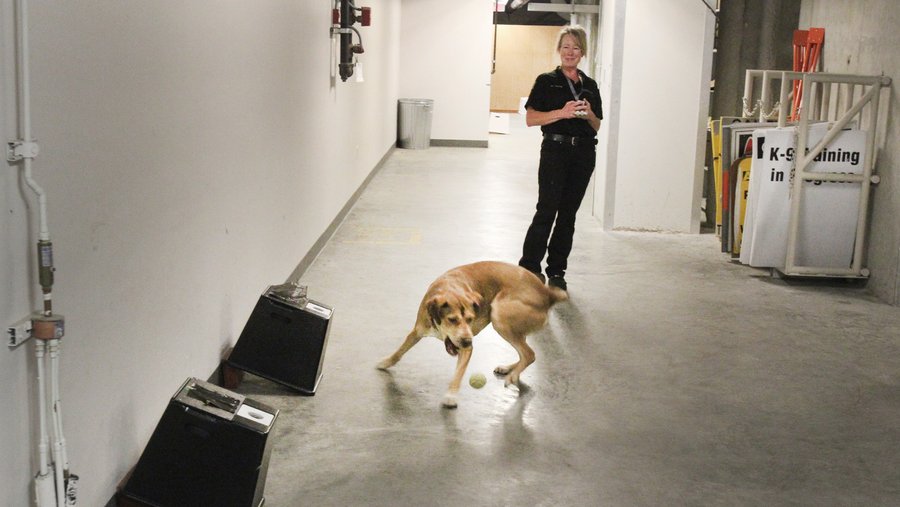 Boeing's K-9 explosives detection unit