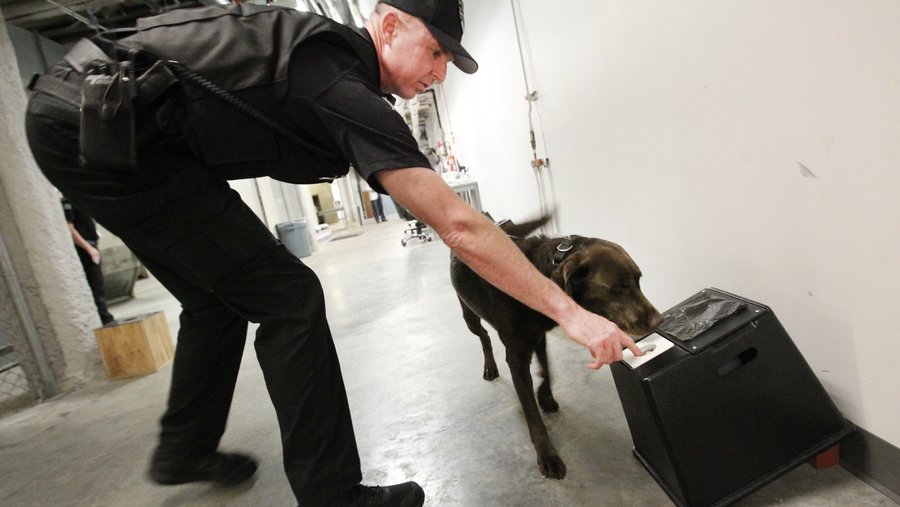 Boeing's K-9 explosives detection unit