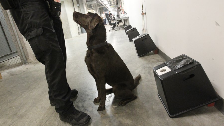 Boeing's K-9 explosives detection unit