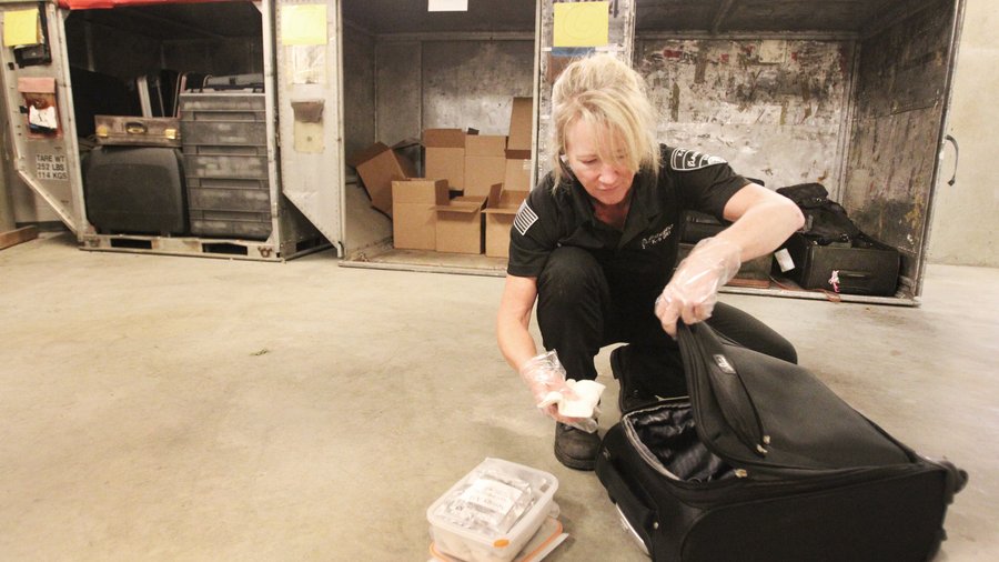 Boeing's K9 explosives detection unit