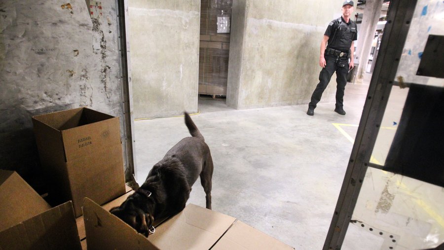 Boeing's K-9 explosives detection unit