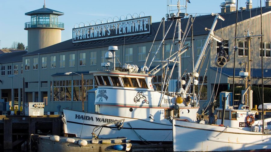 Port of Seattle plans $35 million Fishermen's Terminal makeover to stem ...